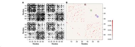 Representative Single Network Binary A And Weighted B Adjacency