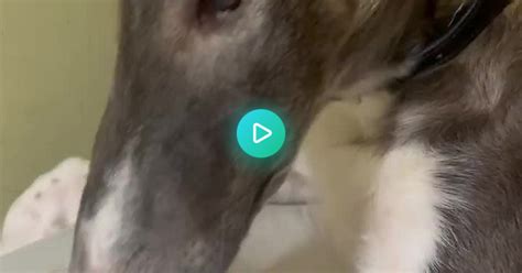 What Song Is Playing Inside Their Heads Album On Imgur