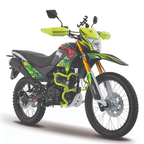 Motocicleta Italika DM 250 Bicimotos