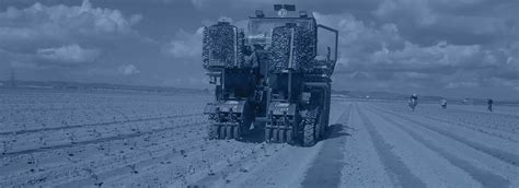 Transplanters And Planting Machines For Sale Ferrari Growtech