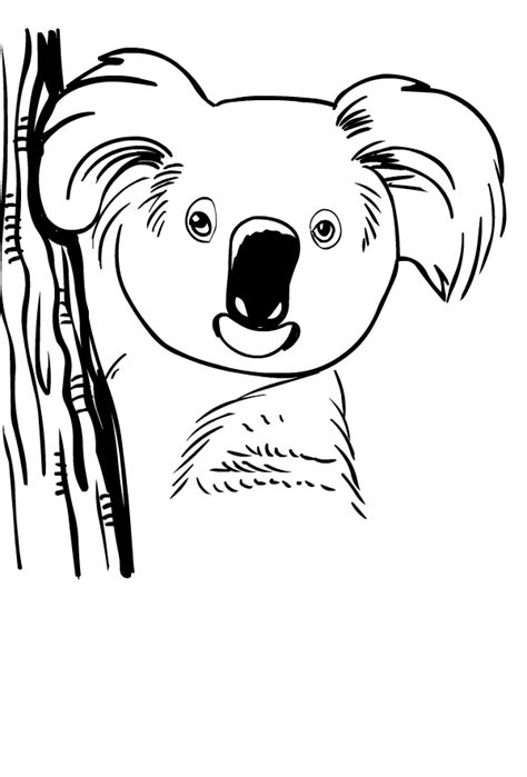 Ausmalbilder Koala