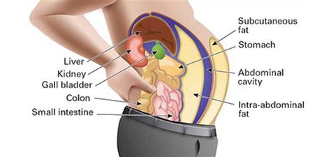 Video 3 Fat Storing Hormones You Didnt Know About Men Of The West