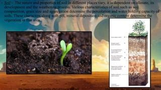 Ecosystem PPT