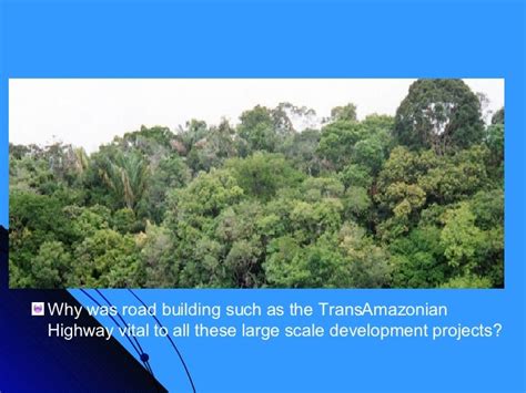 Lesson 3 Threats To Rainforest