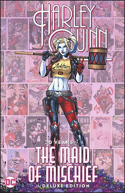 Harley Quinn Arkham City Pin Up
