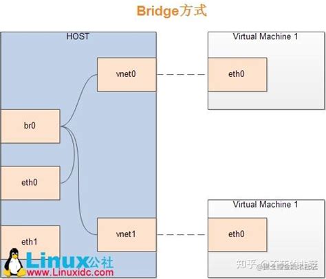 计算机网络NAT及Bridge介绍 nat bridge CSDN博客