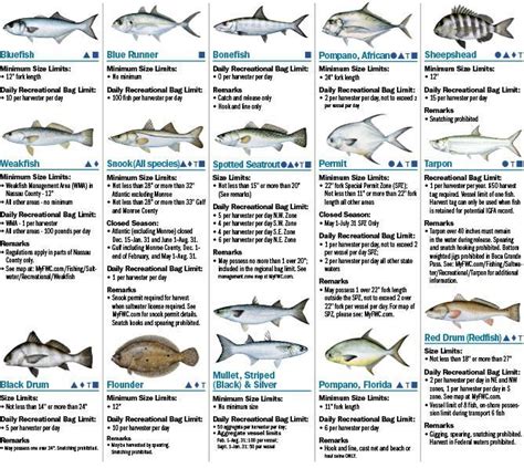Coastal Species Saltwater Fishing Salt Water Fishing Fly Fishing