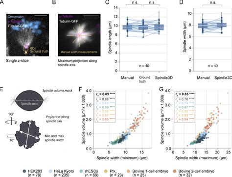 Performance Accuracy Of Manual Versus Automated Spindle Measurements Download Scientific