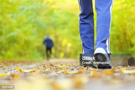 여자 걷기 크로스 컨트리 트레일에서 베스키드 산의 가을 숲 가을에 대한 스톡 사진 및 기타 이미지 가을 갈색 건조한