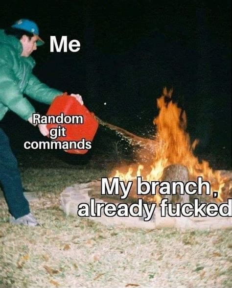 Everyone Who Didnt Use Git During Their School Projects And Only