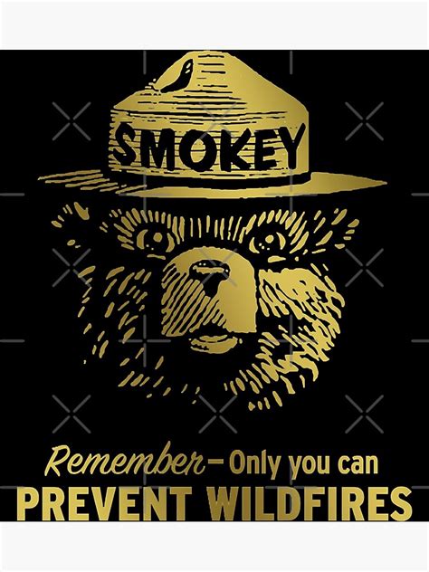 Smokey Bear Wildfire Prevention Campaign Is The Longest Running