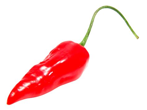 Red Chilli Pepper Png All