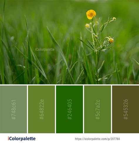 Color Palette Ideas From 3434 Grass Images Icolorpalette Color