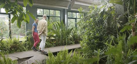 The Language Of Plants Tully Arnot And Monica Gagliano Acmi Your Museum Of Screen Culture