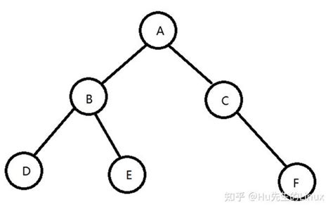 树与二叉树深度剖析 一 知乎