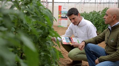 Azadiractin La Materia Activa Pionera En Bioprotección De Cultivos