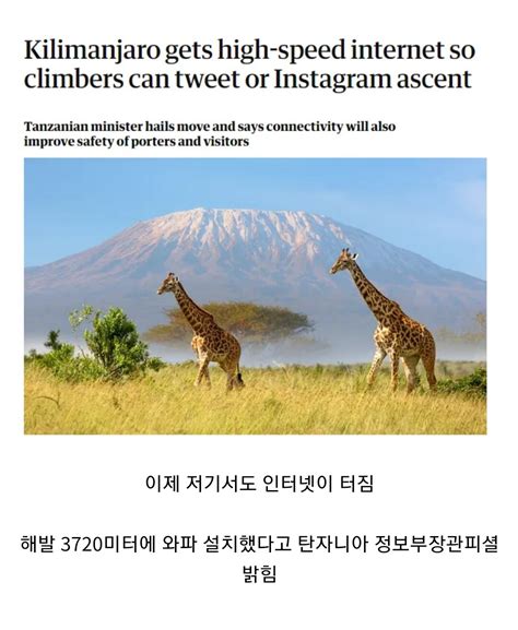 킬리만자로 산 근황 ㄷㄷ 오픈이슈갤러리 인벤