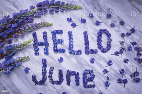 [100 ] Hello June Wallpapers