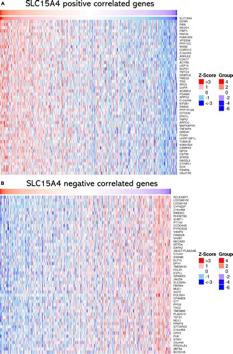 Slc15a4 Serves As A Novel Prognostic Biomarker And Target For Lung