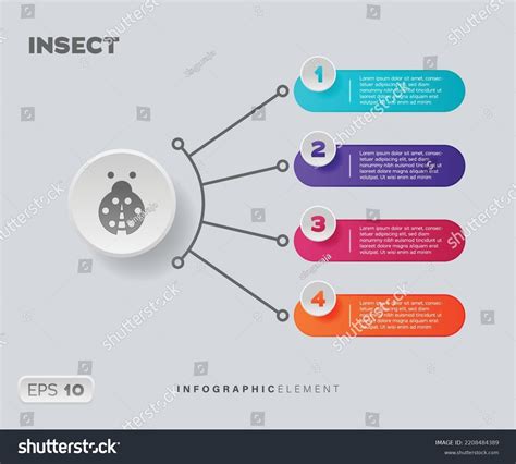 2773 Spider Infographic Stock Vectors And Vector Art Shutterstock