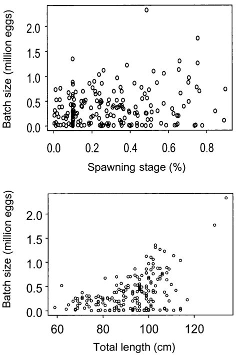 Batch Size Vs Female Total Length Cm And Spawning Stage Download Scientific Diagram