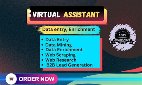 Be Your Virtual Assistant For Data Entry Enrichment And B2b Lead