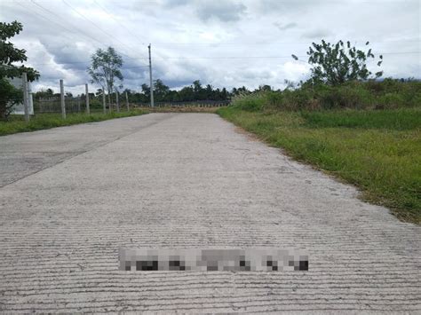 Sqm Residential Lot For Sale In Polomolok South Cotabato Lots April In Polomolok