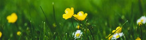 National Simplicity Day Lets Keep It Simple For A Better Life