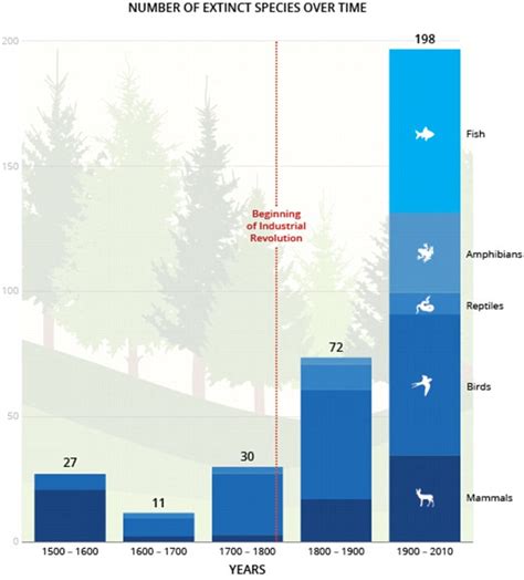 Extinction Of A Predator Can Have Have A Knock On Effect On Other