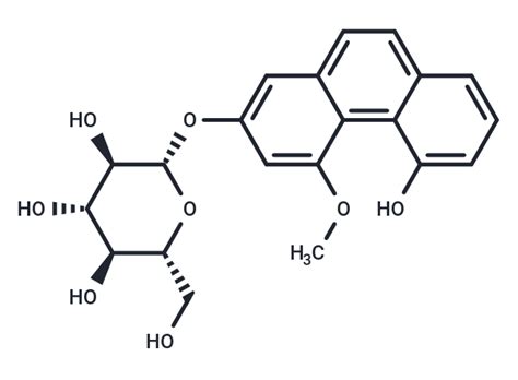 Pyruvate Carboxylase In 2 Targetmol