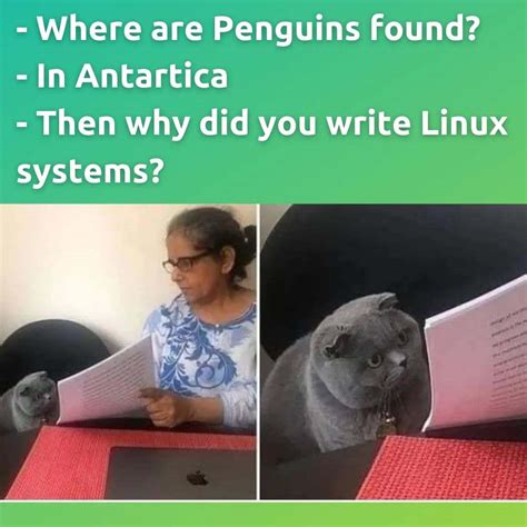 I See Tux In Every Penguin R Linuxmasterrace