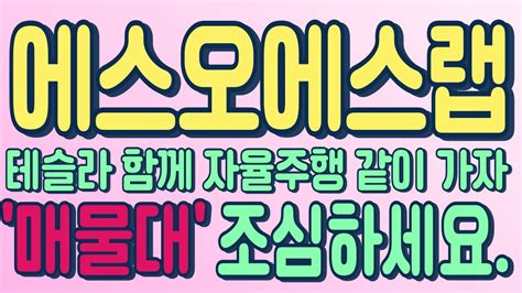 에스오에스랩 주가전망 주주님들 필수시청 테슬라 함께 자율주행 같이가자 매물대 조심하세요 에스오에스랩 Youtube