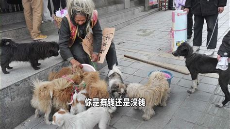 你为什么养狗狗是人类最忠诚的朋友 狗狗 新手养狗 宠物知识 Youtube