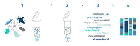 Experts In Monitoring Biodiversity By Dna Metabarcoding Allgenetics