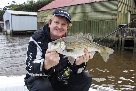 Estuary Perch On Bait And Lure Hooked Up Magazine