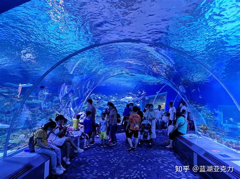 亚克力鱼缸换水和藻类处理方法 知乎