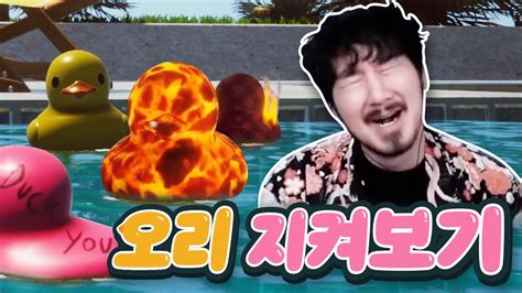 그저 오리를 지켜보기만 하는 게임 Youtube