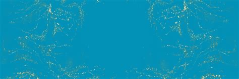 Pelvic Organ Prolapse Empowered Pelvic