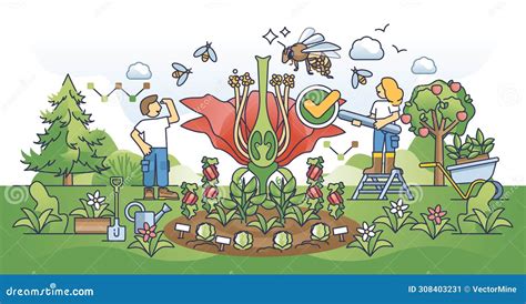 Pollination Process For Plant Reproduction From Pollinators Outline Concept Stock Vector