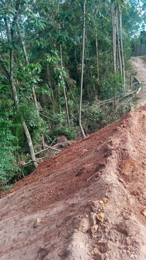 Três Homens São Detidos Pela Gcm Acusados De Crime Ambiental No Cabuçu
