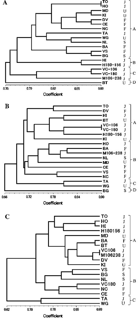 Upgma Phenogram Of The Genetic Relationships Among 19 Japanese Fig