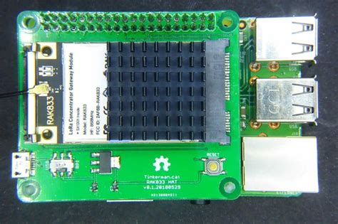 RAK833 Meets Raspberry Pi Tinkerman