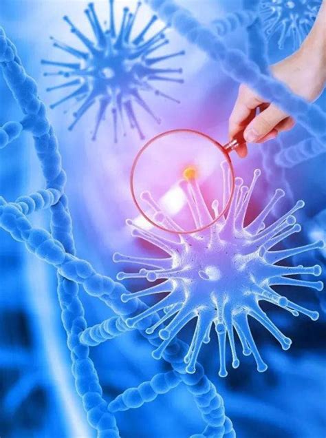 免疫组化 河南研协生物科技有限公司