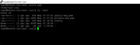 oci rest apis from postman for creating updating deleting a… by