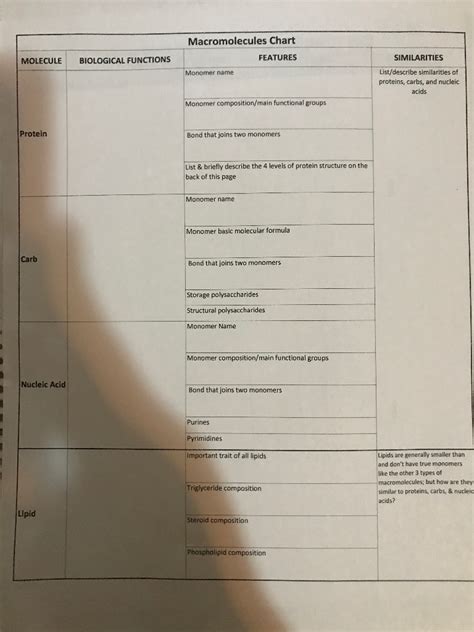 Solved Macromolecules Chart Features Molecule Biological