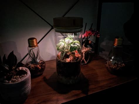 Iot Terrarium Rarduino