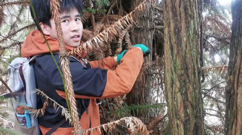 湘西州林勘院抓紧推进林火阻隔系统工程建设项目初步设计技术指导 湘西土家族苗族自治州森林资源监测中心
