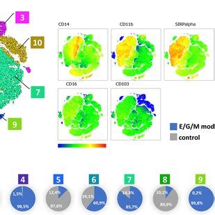 Phenotypic Analysis Via FlowJo TSNE Analysis Followed By Clustering Of