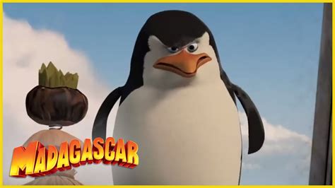 DreamWorks Madagascar en Español Latino Los Pinguinos de Madagascar