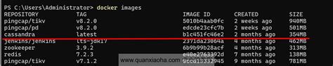 Docker 安装 Cassandra 数据库（图文教程） 犬小哈教程